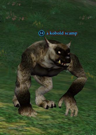 a kobold scamp | EverQuest 2 Wiki | Fandom