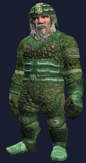 Armor of the Grove (Armor Set) | EverQuest 2 Wiki | Fandom