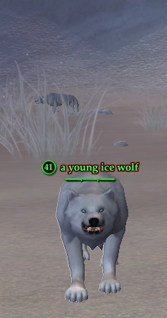 A young ice wolf | EverQuest 2 Wiki | Fandom