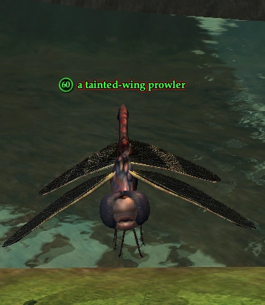 A tainted-wing prowler | EverQuest 2 Wiki | Fandom