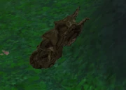 Veneration Protection | EverQuest 2 Wiki | Fandom