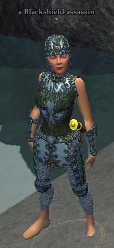 a Blackshield assassin | EverQuest 2 Wiki | Fandom