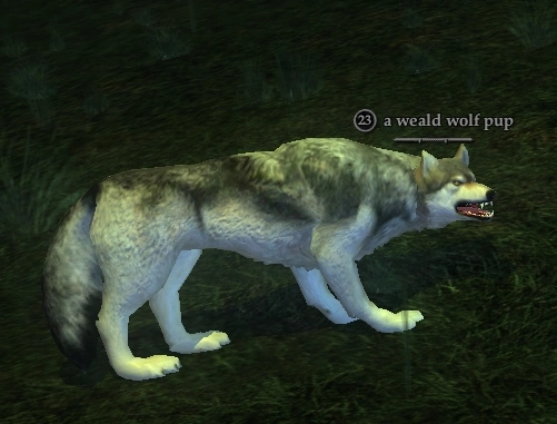 A weald wolf pup | EverQuest 2 Wiki | Fandom