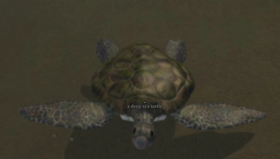 A deep sea turtle | EverQuest 2 Wiki | Fandom