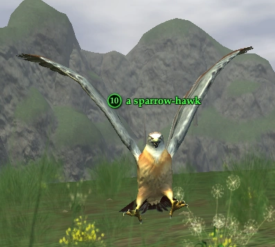 A sparrow-hawk | EverQuest 2 Wiki | Fandom