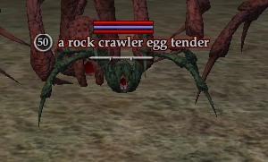 A rock crawler egg tender | EverQuest 2 Wiki | Fandom