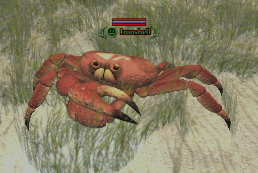 Ironshell | EverQuest 2 Wiki | Fandom