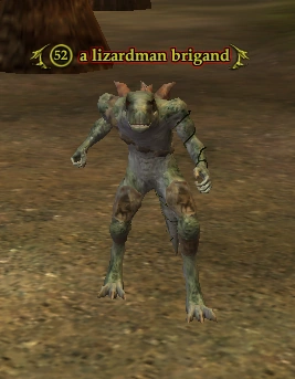 A lizardman brigand | EverQuest 2 Wiki | Fandom