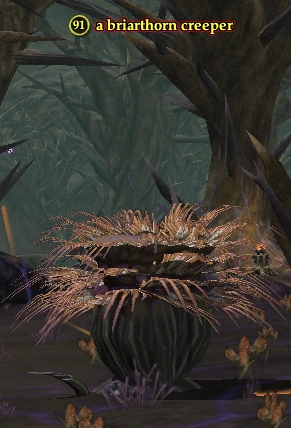 A briarthorn creeper | EverQuest 2 Wiki | Fandom