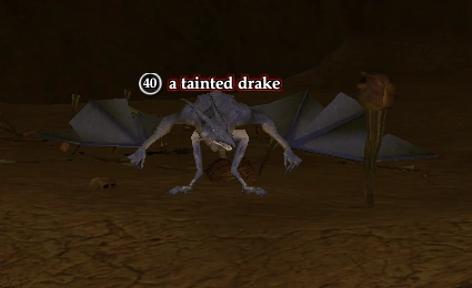 A tainted drake | EverQuest 2 Wiki | Fandom