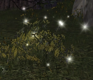 Eyes of the Forest | EverQuest 2 Wiki | Fandom