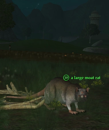 A large moat rat | EverQuest 2 Wiki | Fandom