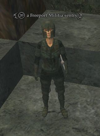 A Freeport Militia sentry | EverQuest 2 Wiki | Fandom