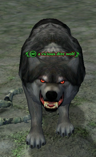 A vicious dire wolf | EverQuest 2 Wiki | Fandom