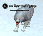 An ice wolf pup | EverQuest 2 Wiki | Fandom