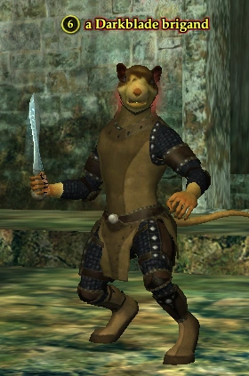 A Darkblade brigand | EverQuest 2 Wiki | Fandom