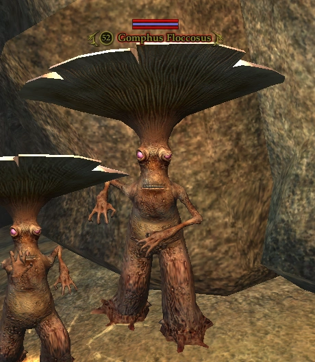 Category:The Drowned Caverns: Outer Grotto Named Monsters | EverQuest 2 ...