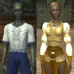 coloring pages everquest