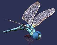 The Sapphire Monarch | EverQuest 2 Wiki | Fandom