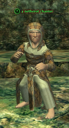 A netherot chanter | EverQuest 2 Wiki | Fandom