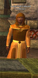 Collection Binder | EverQuest 2 Wiki | Fandom