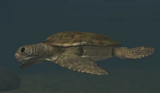 a Ykeshan saltshell | EverQuest 2 Wiki | Fandom