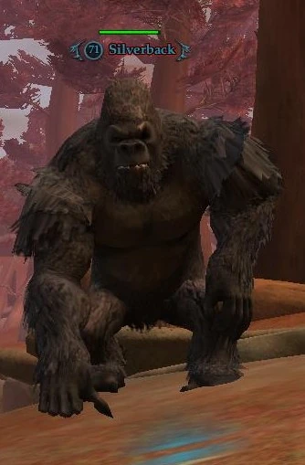 Silverback | EverQuest 2 Wiki | Fandom