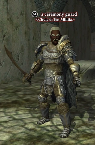 A ceremony guard | EverQuest 2 Wiki | Fandom