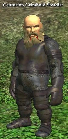 Centurion Grimbold Steadirt | EverQuest 2 Wiki | Fandom