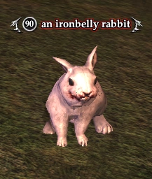 An ironbelly rabbit | EverQuest 2 Wiki | Fandom