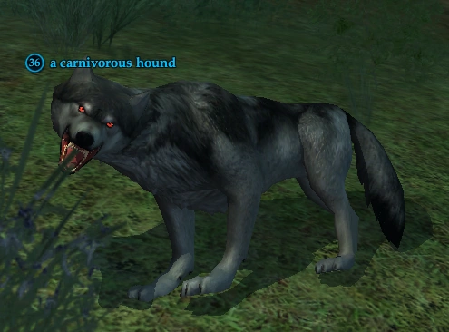 A carnivorous hound | EverQuest 2 Wiki | Fandom
