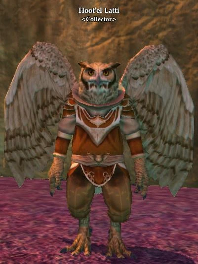 Hoot'el Latti | EverQuest 2 Wiki | Fandom