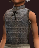 Imbued Iron Chainmail Coat | EverQuest 2 Wiki | Fandom