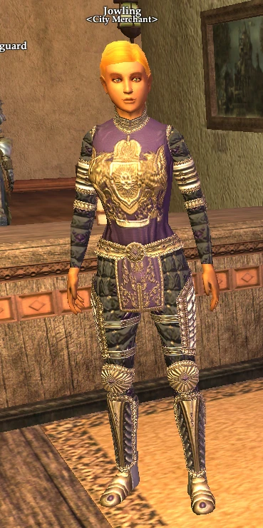 Category:City Merchant (NPC Type) | EverQuest 2 Wiki | Fandom