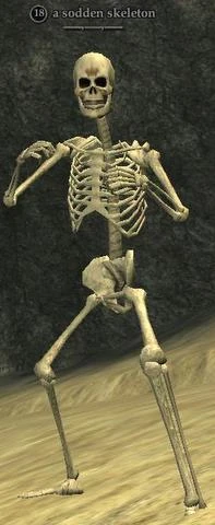 A sodden skeleton | EverQuest 2 Wiki | Fandom