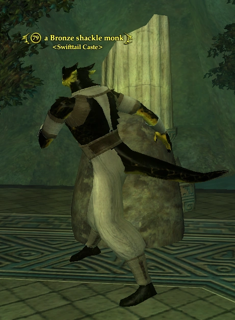 a Bronze shackle monk | EverQuest 2 Wiki | Fandom