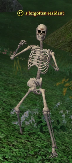 a forgotten resident | EverQuest 2 Wiki | Fandom