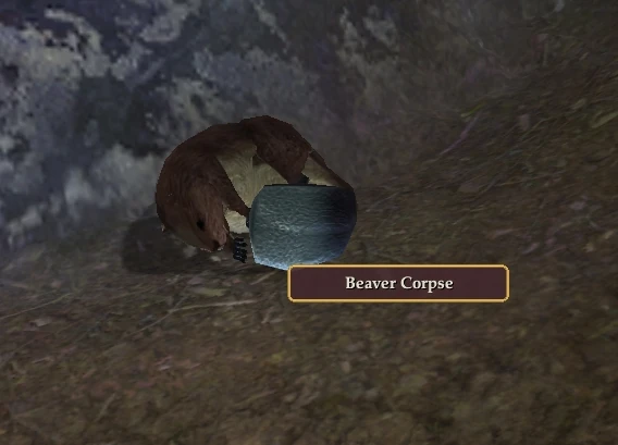 Earning Your Talons | EverQuest 2 Wiki | Fandom