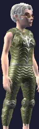 Legplates of the Enforcer | EverQuest 2 Wiki | Fandom