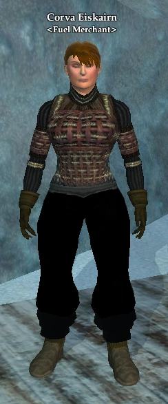 Category:Fuel Merchant (NPC Type) | EverQuest 2 Wiki | Fandom