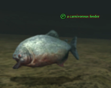 A carnivorous feeder | EverQuest 2 Wiki | Fandom