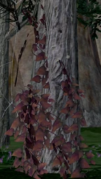 Advanced Botany: Steamfont Mountains | EverQuest 2 Wiki | Fandom