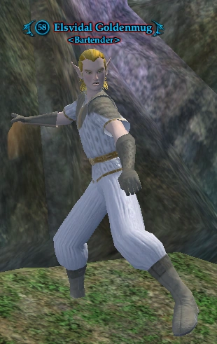 Elsvidal Goldenmug | EverQuest 2 Wiki | Fandom
