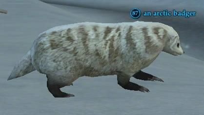 An arctic badger | EverQuest 2 Wiki | Fandom
