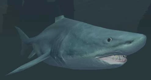 a daggertooth shark | EverQuest 2 Wiki | Fandom