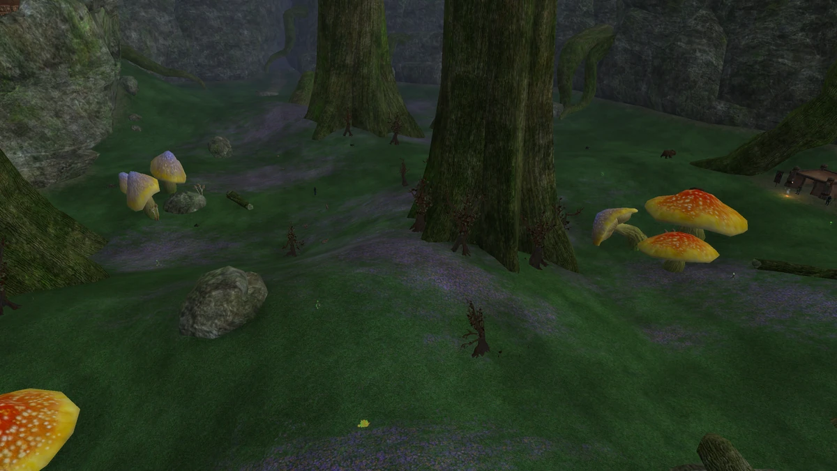 Treant Grove | EverQuest 2 Wiki | Fandom
