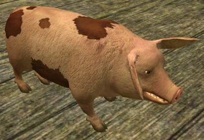 Category:Pig | EverQuest 2 Wiki | Fandom