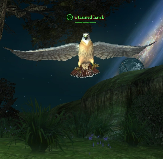 A trained hawk | EverQuest 2 Wiki | Fandom