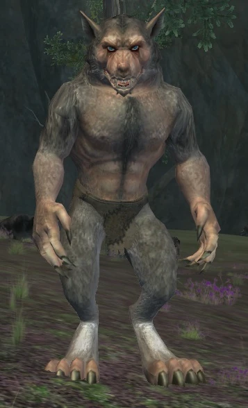 Lore and Legend: Werewolf | EverQuest 2 Wiki | Fandom
