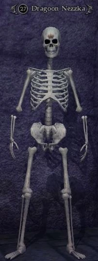 Dragoon Nezzka | EverQuest 2 Wiki | Fandom